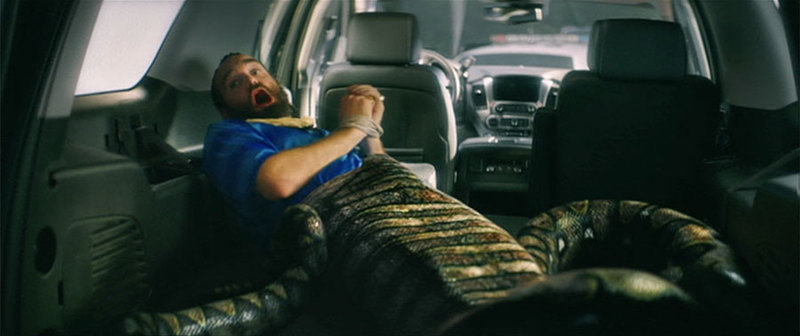 Man eaten by snake! - Water Cooler - Spiceworks Community