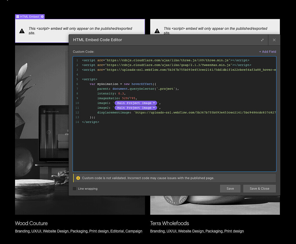 Hover distortion on CMS portfolio images - Animations & Interactions - Forum | Webflow