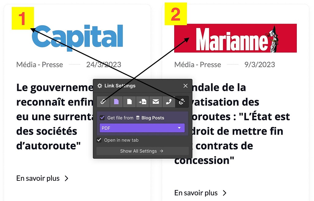 CMS Collection - Change the link setting for different cards (one page for one card, one PDF for ...
