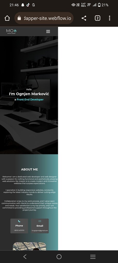 Half screen blank - General - Forum | Webflow