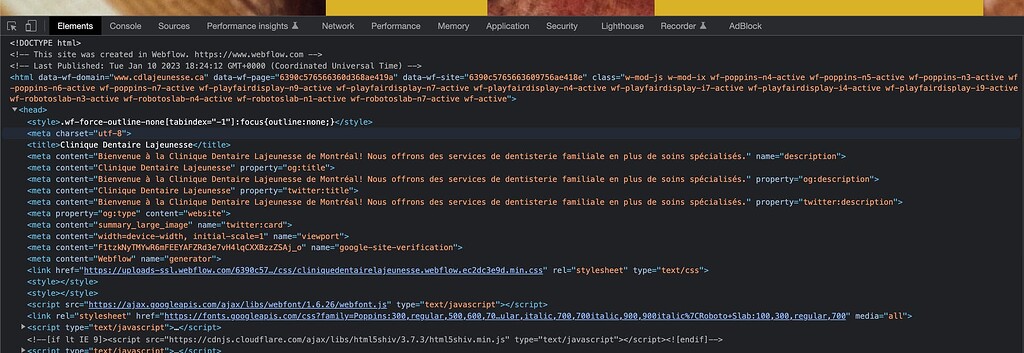 Issue with my meta content not displaying correctly - SEO - Forum | Webflow