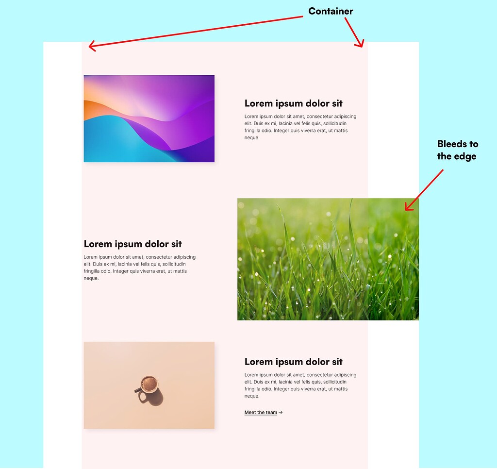 Best way to make content 'bleed' to the edge out of a container - General - Forum | Webflow