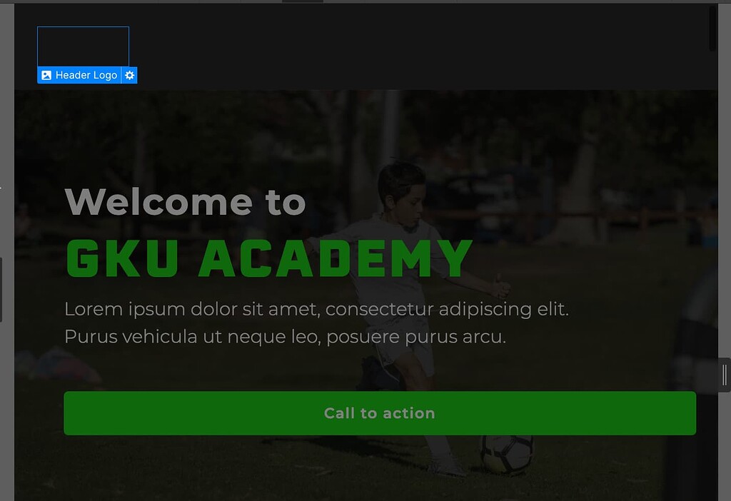 Logo disappearing in nav bar below 766px - General - Forum | Webflow