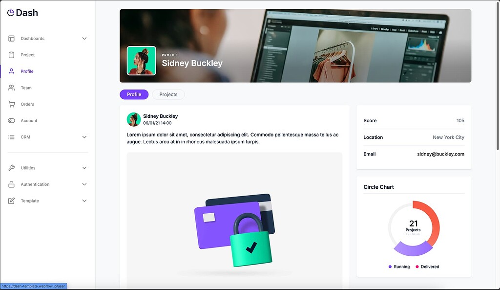 How to achieve sections on page rendering - Layout & Design - Forum | Webflow