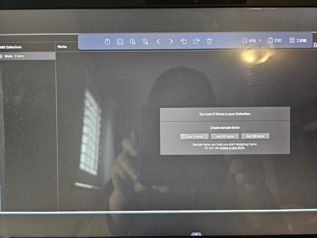 CMS not.showing collection - General - Forum | Webflow