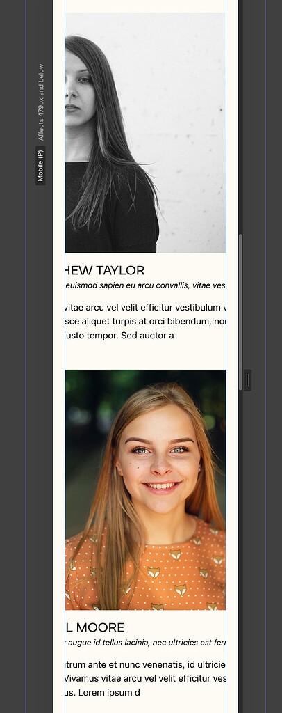 Grid Overflow on Mobile Portrait - Layout & Design - Forum | Webflow