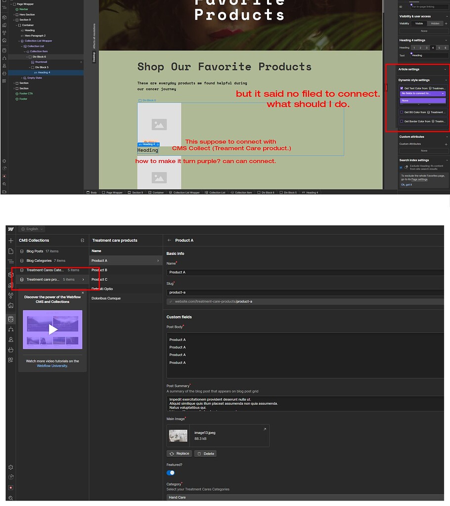 Cant connect text with the CMS collection. No field to connect to...." - Community resources ...