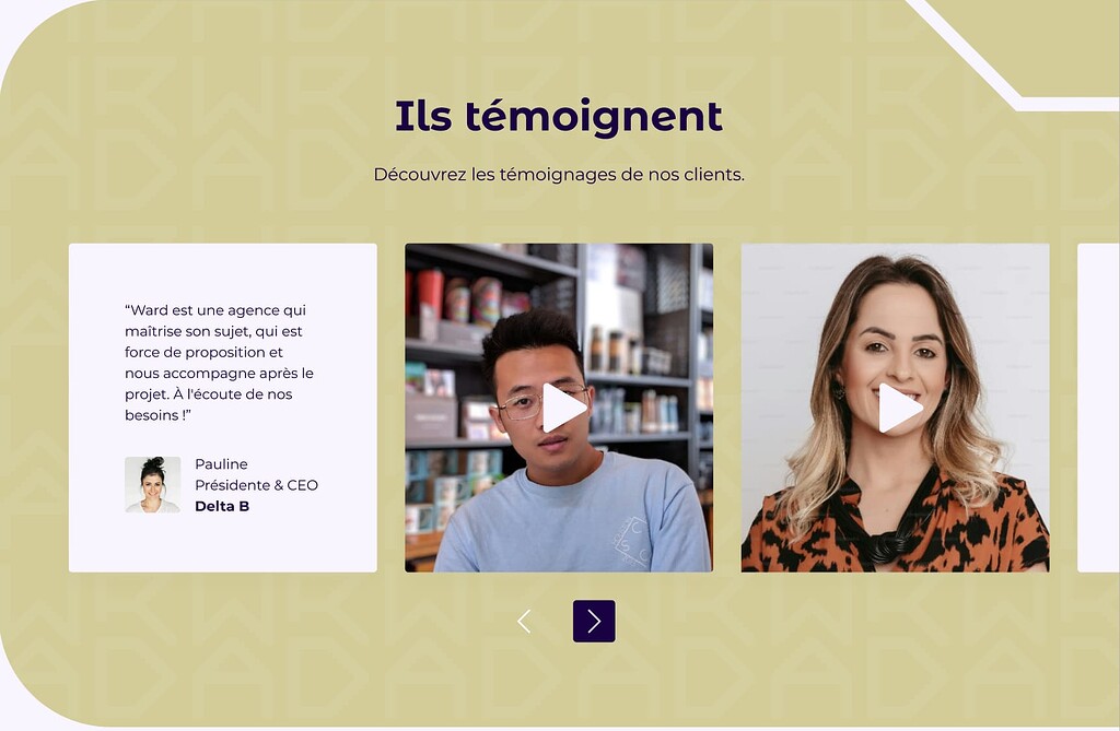 Splide JS - code custom problem - Custom code - Forum | Webflow