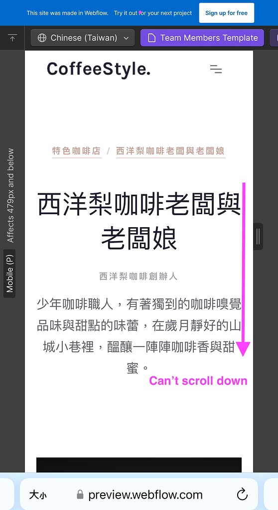 Preview read-only link can't scroll on an actual mobile - Community resources - Forum | Webflow