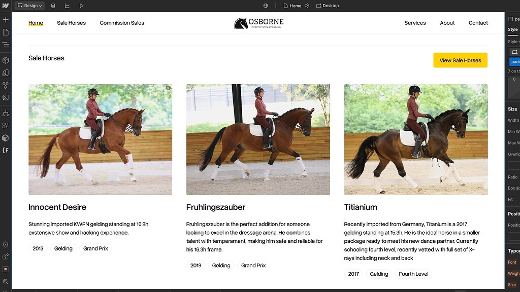 Why do images in Designer look different when hitting publish? - General - Forum | Webflow
