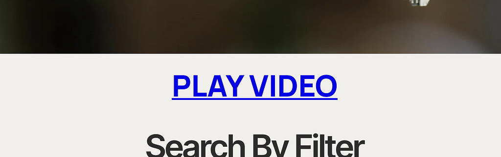 Modal Video Won't Stop Playing (Starbucks on me if you help) - Custom code - Forum | Webflow
