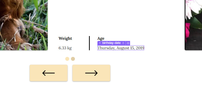 Help Please with Date to Age Custom Code - Custom code - Forum | Webflow