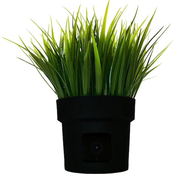 Hiding your cameras? - Cameras - Wyze Forum